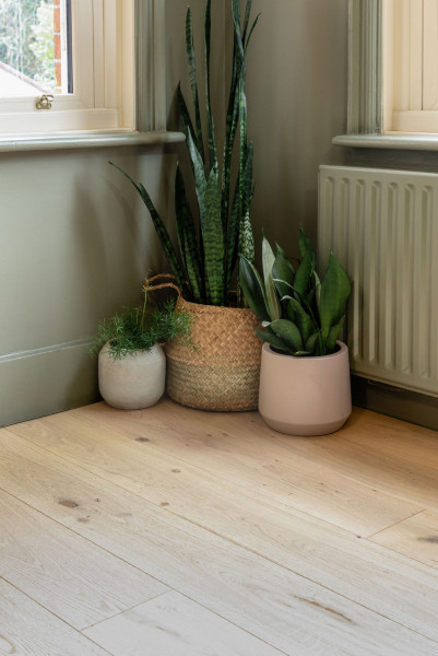 Pure Step Coral Plank